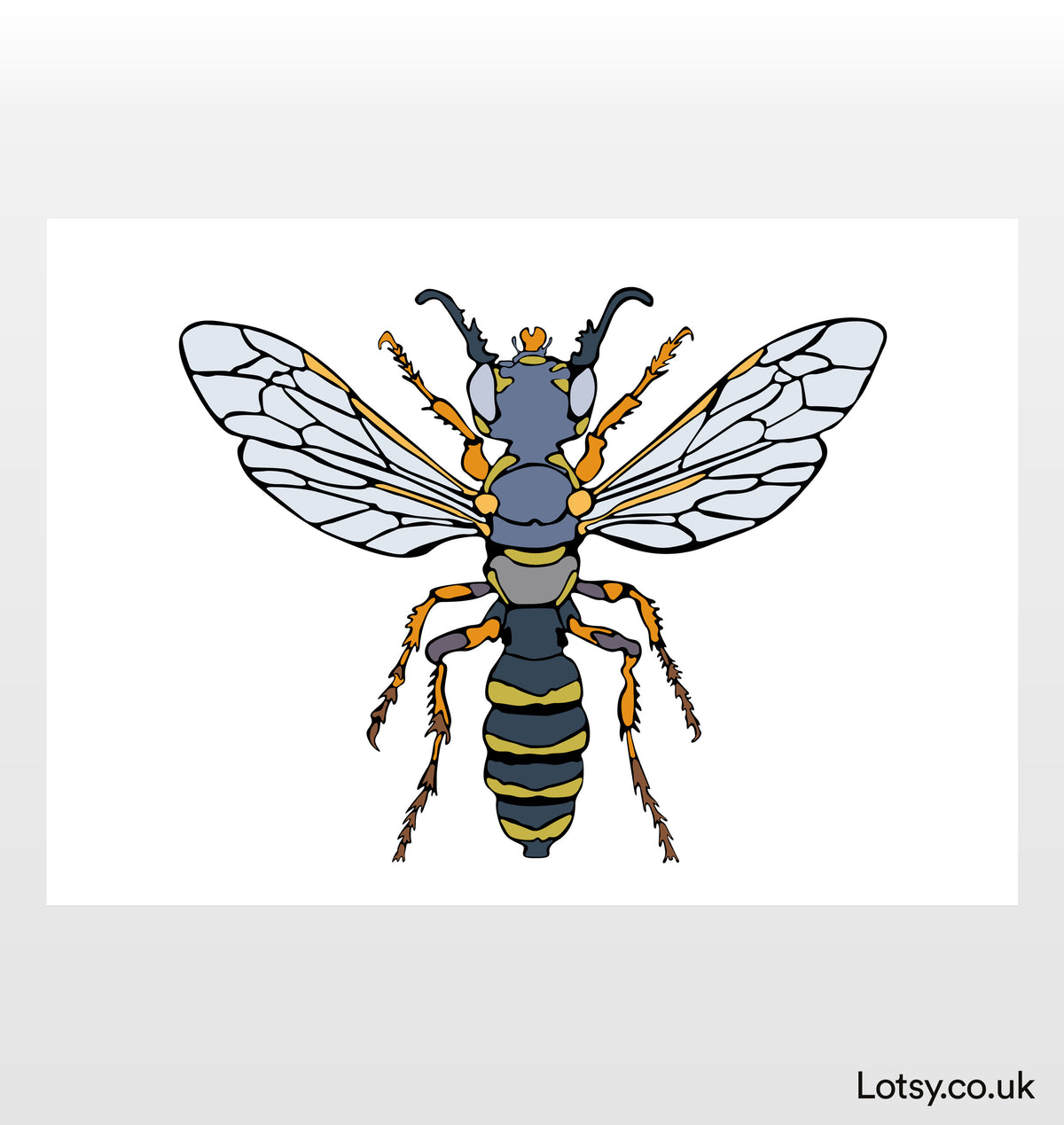 Wasp Print — Lotsy.co.uk